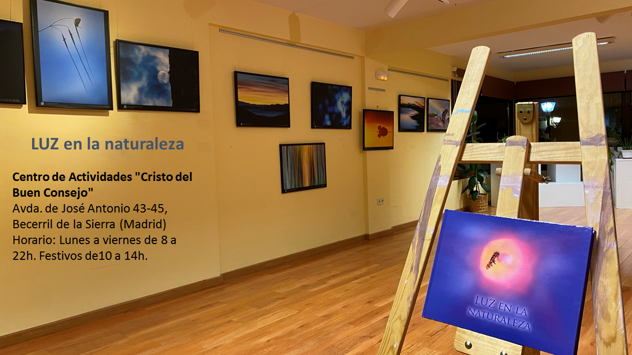 Exposición «LUZ en la Naturaleza» – FONAMAD
